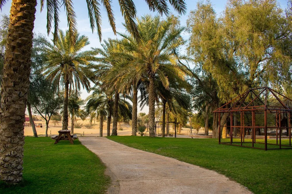 Tourists will be able to rent private farms in Abu Dhabi - OWRealty